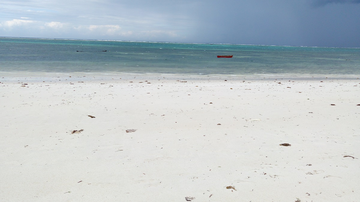 The Best of Both Worlds - Kenya Safari and Beach Holidays